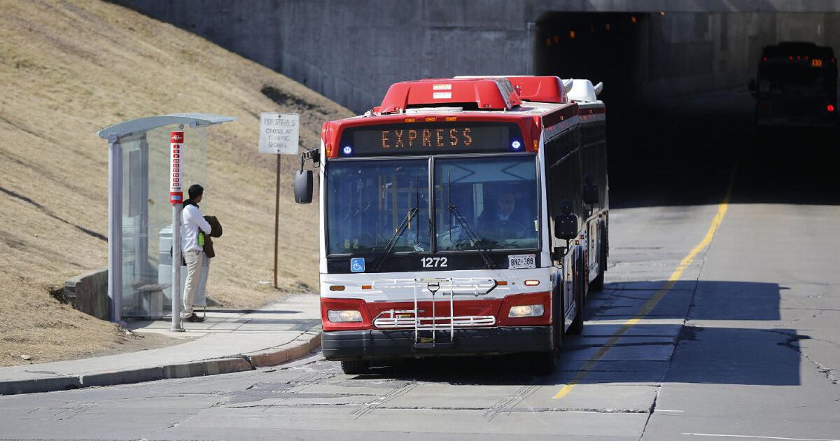 TTC driver charged following fatal July collision