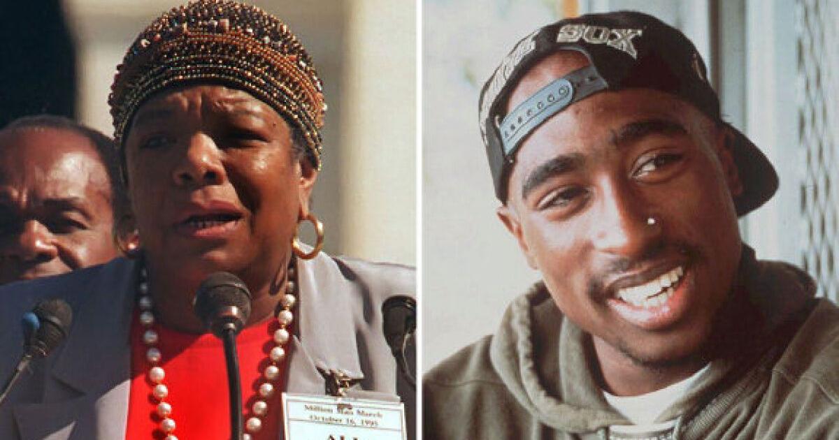 Late Canadian poet laureate accused of plagiarizing Maya Angelou, Dylan ...