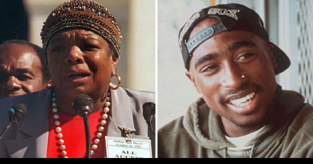 Late Canadian poet laureate accused of plagiarizing Maya Angelou, Dylan ...