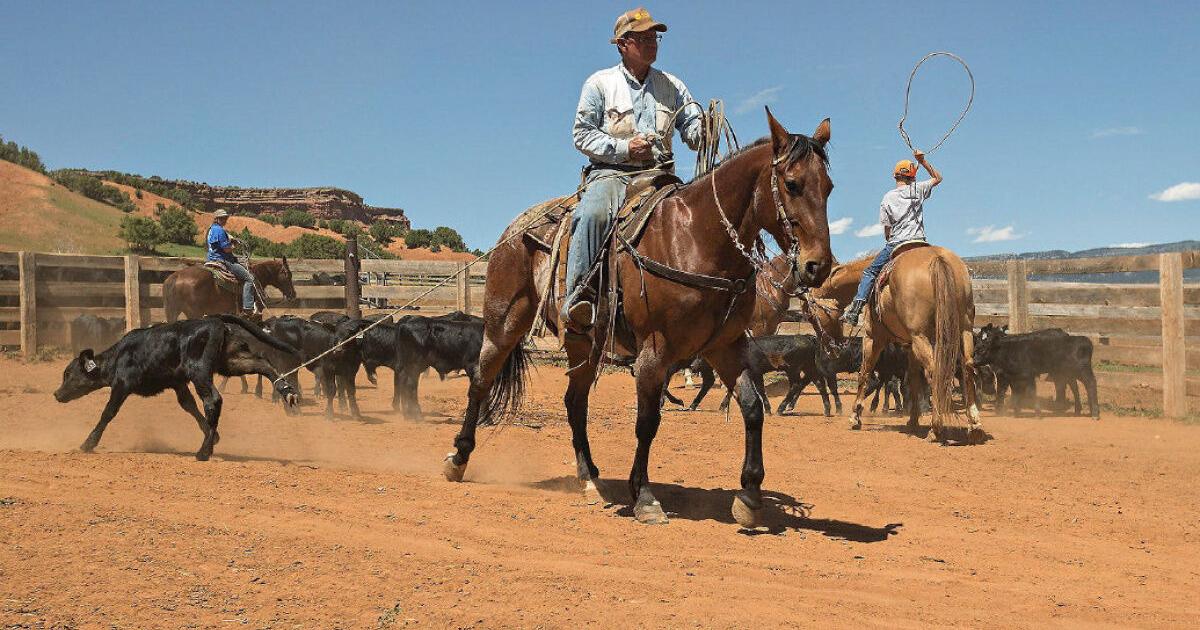 Red Reflet Ranch lets guests live the western lifestyle