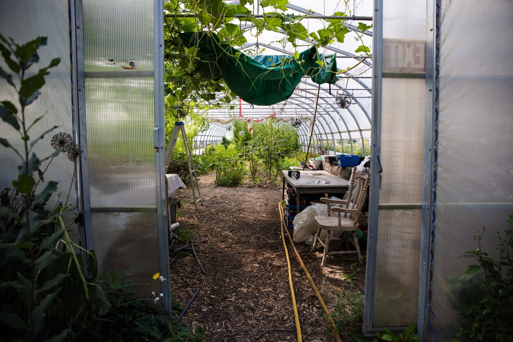 This Toronto’s urban farm’s next step? A new cooking hub