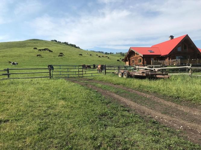 His name is Earl: The story behind the Calgary Stampede, Mayor Naheed ...