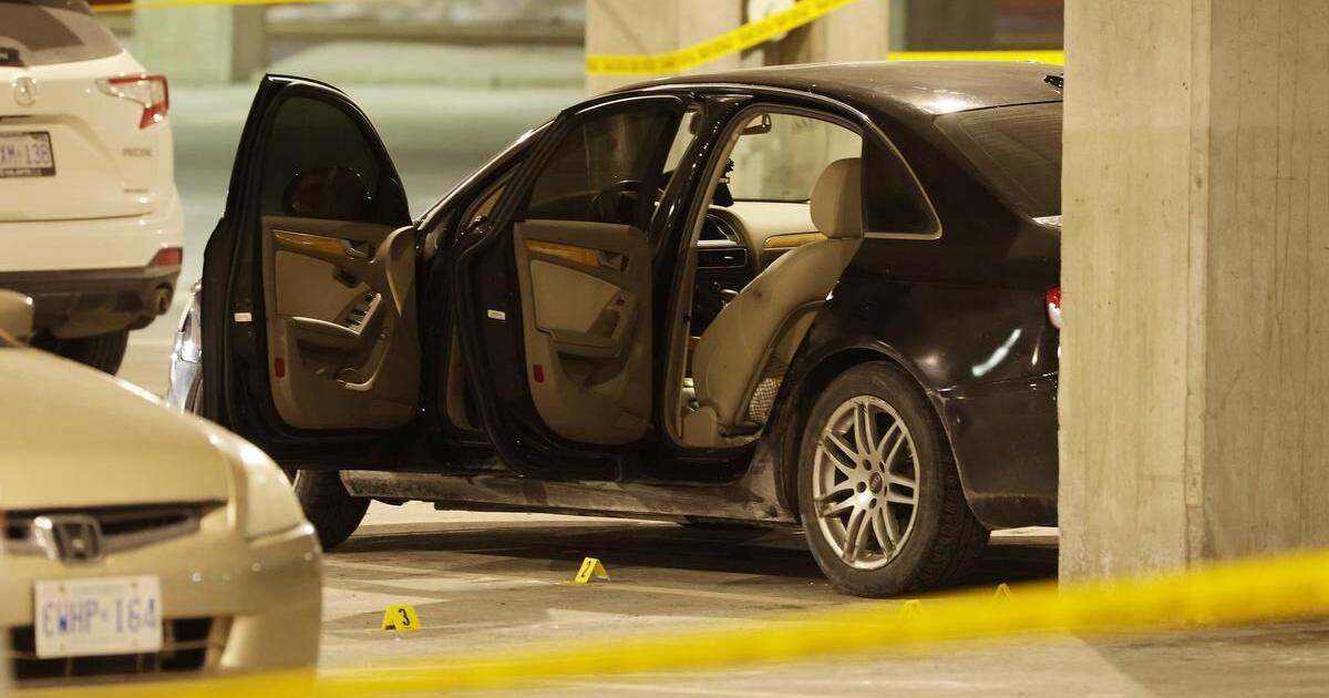 Murder victim in Fairview Mall shooting identified by police