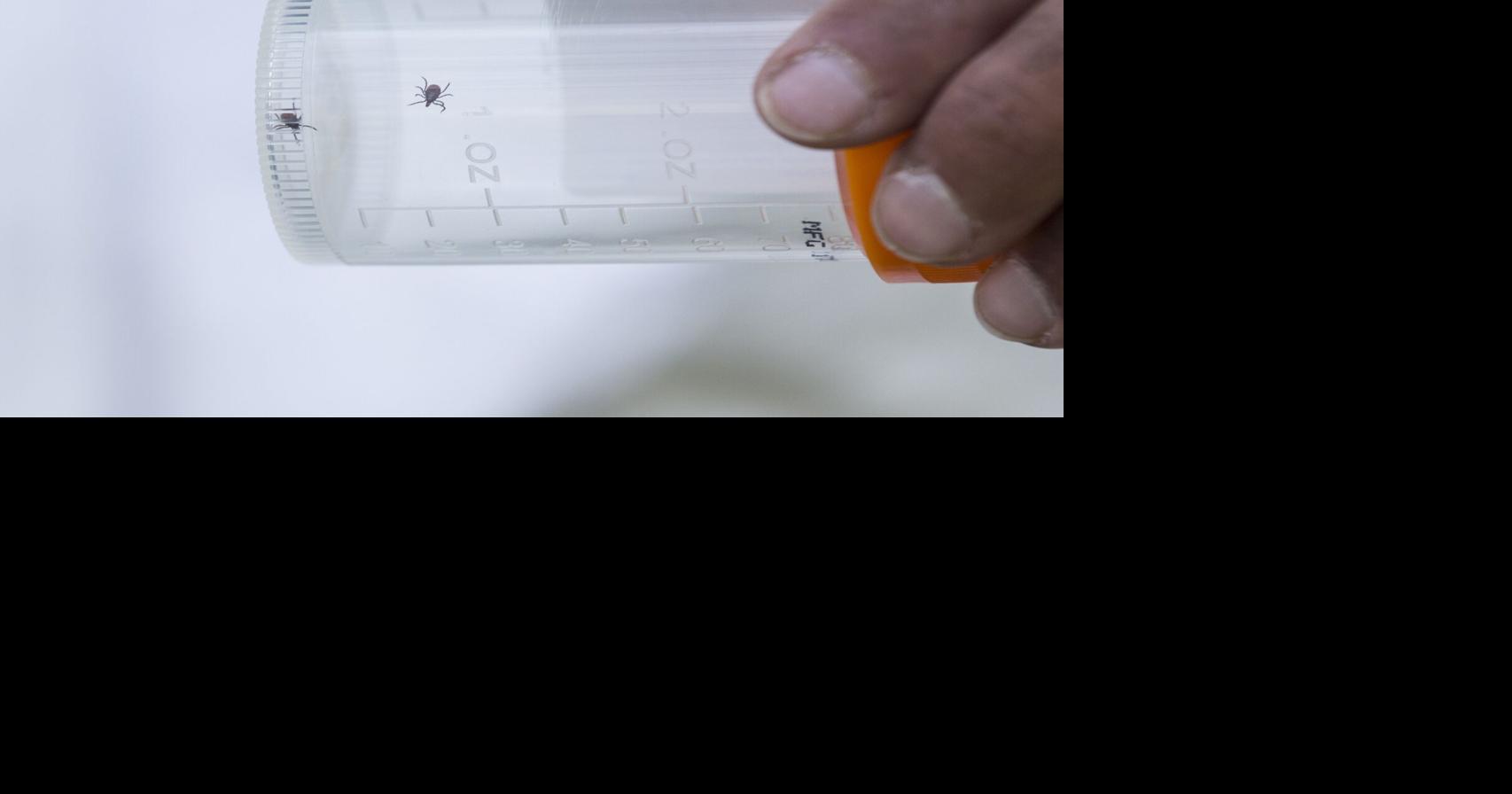 Lyme disease in Canada: Ticks already spotted in Ontario