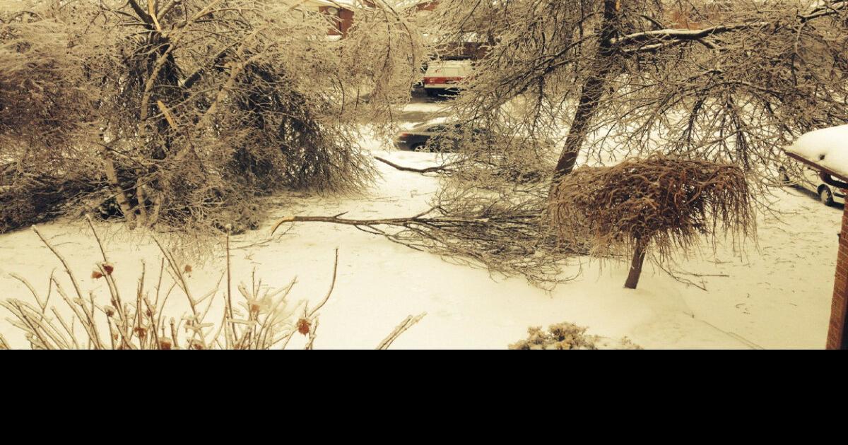 Ice storm cuts swath of destruction on Bolton street