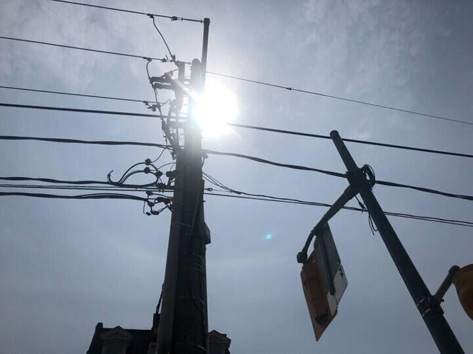 Squirrel caused large Toronto power outage, hydro crews say