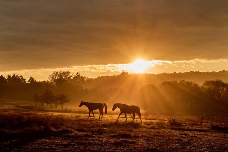 The top photos of the day by AP's photojournalists