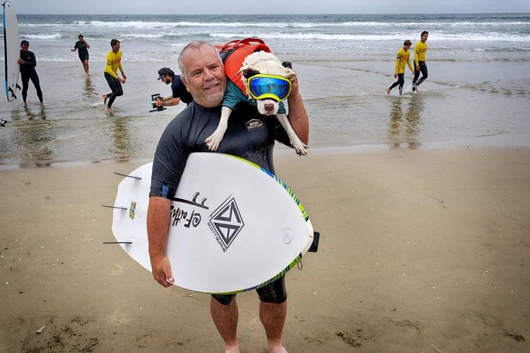 Photos of top surfing dogs catching waves at Huntington Beach