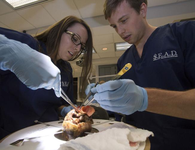 University of Toronto med students explore surgical specialties