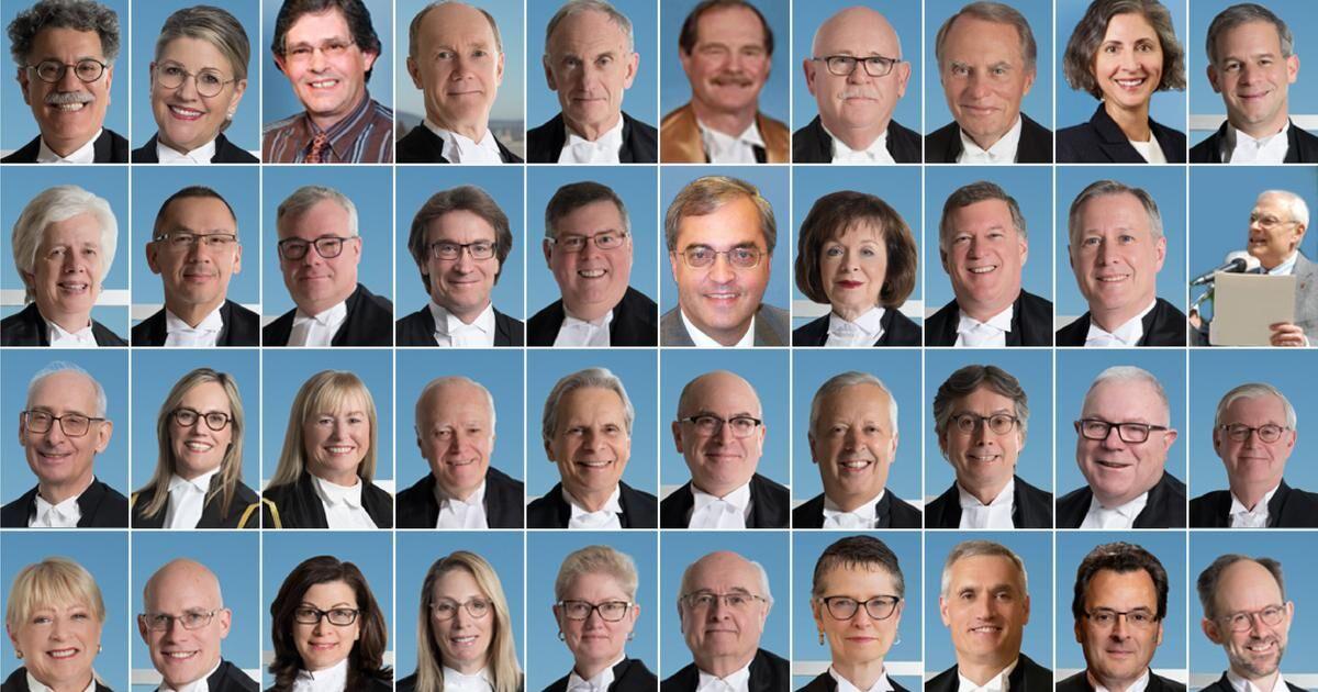 Fill the six vacancies on the Federal Court with Black, Indigenous and ...