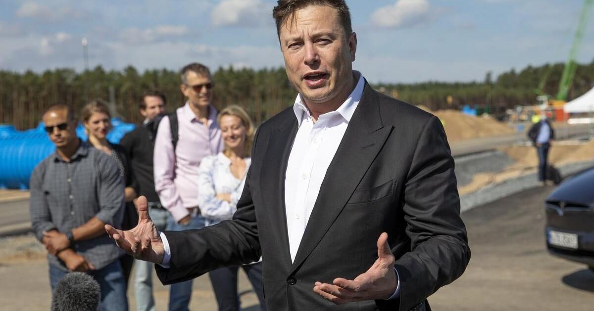 Musk restores Trump’s Twitter account after online poll