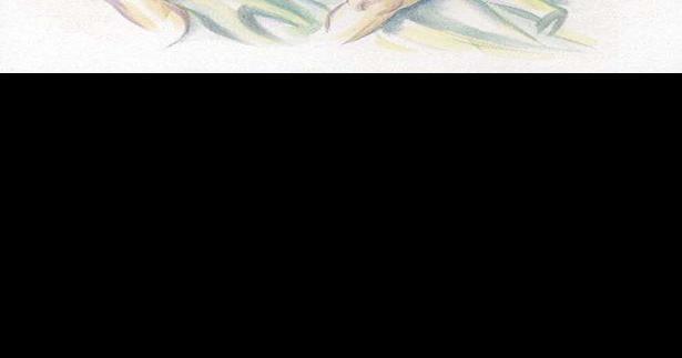 When the emperor flags