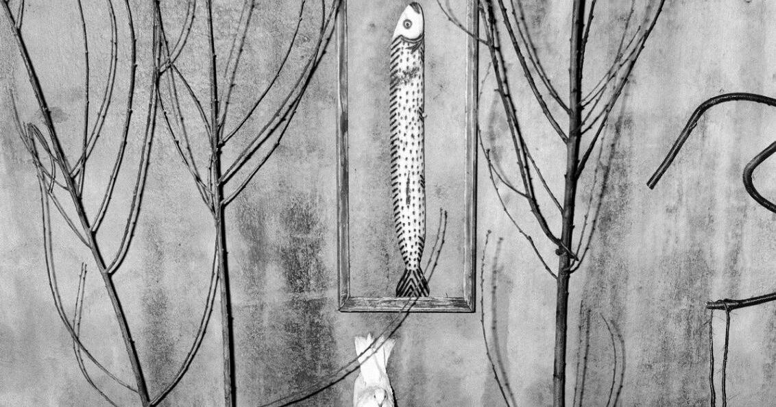 In the galleries: Spring Hurlbut’s life after death, the bookish Derek ...