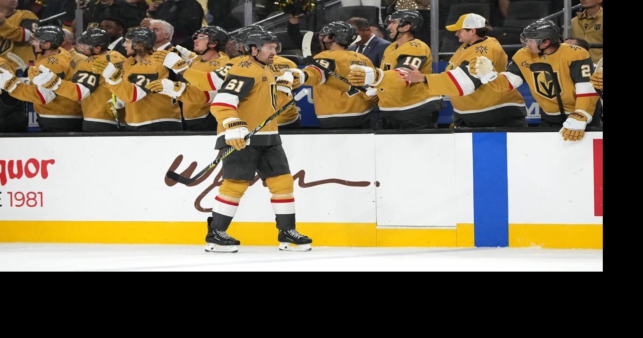 Vegas captain Stone, Preds goalie Saros, Stars centre Duchene named NHL ...