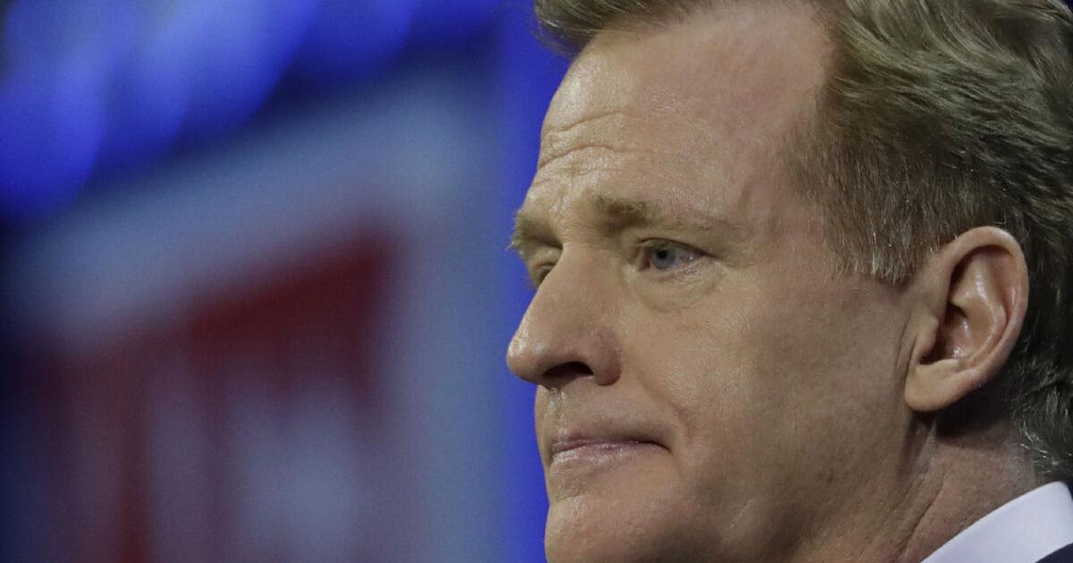 Roger Goodell wants lifetime use of private jet, report says