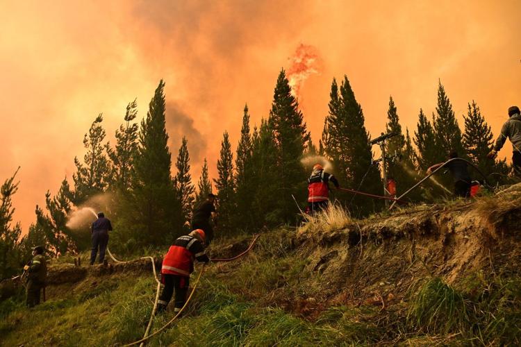 Wildfires in south Argentina rip through nearly 12,000 hectares of ...