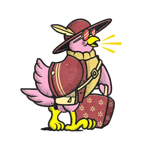 TIFF 2024 Field Guide: The 5 most common ‘types’ at the fest