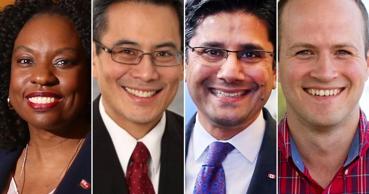 Can one of these four Liberals resurrect the party and topple Doug Ford?