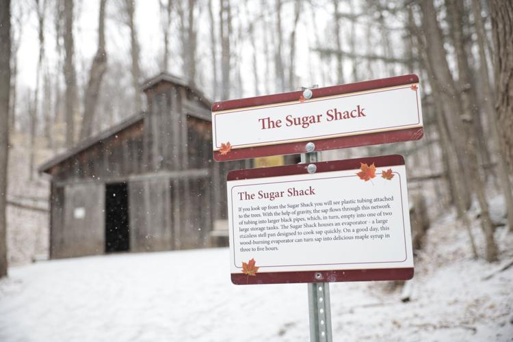 Canada has a national maple syrup reserve. It’s almost empty