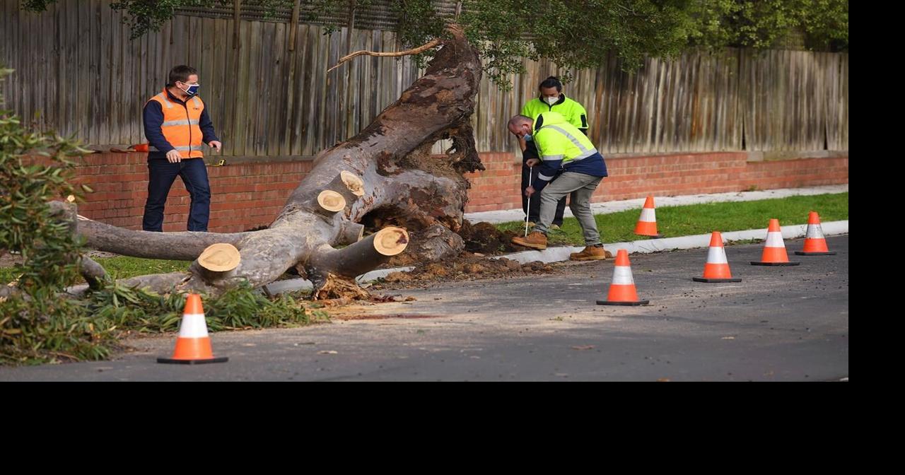 Wild windstorm kills 3, taints water in Melbourne, Australia