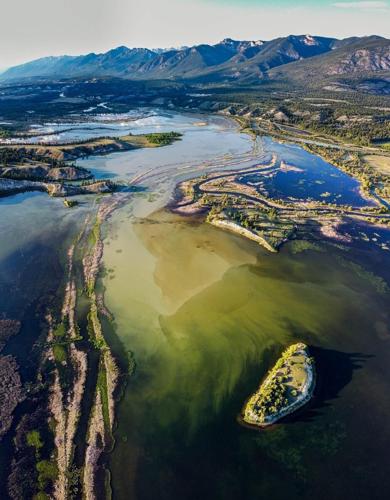 Exploring B.C.’s wildly beautiful Columbia Wetlands