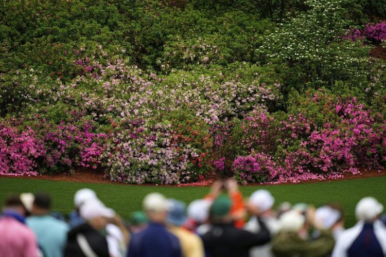 Xander Schauffele is on the mend and motivated as ever at the Masters