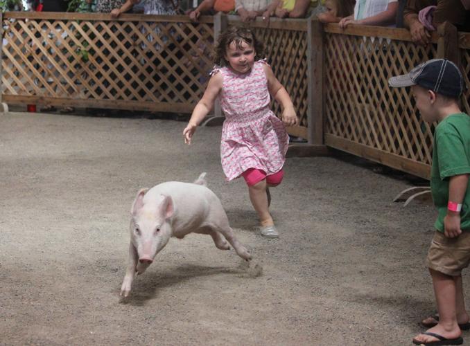 Pigeon bowling has no place at fall fairs