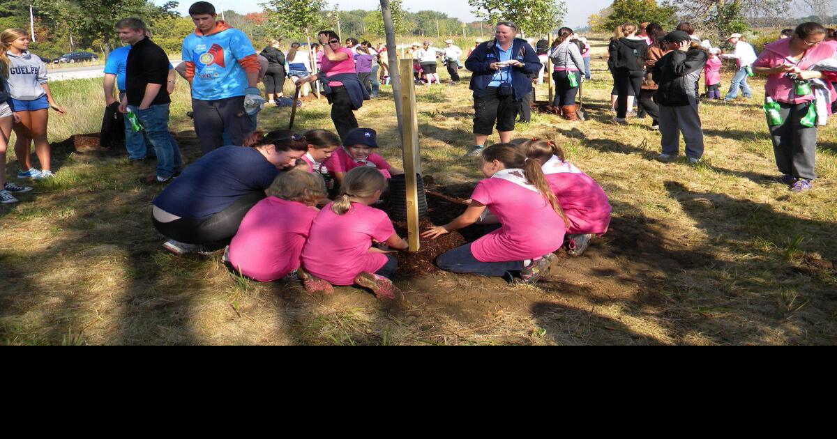 Freedom trees honour our heroes and their sacrifices