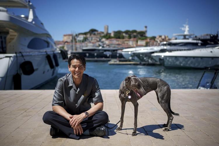 The real stars of Cannes may be the dogs