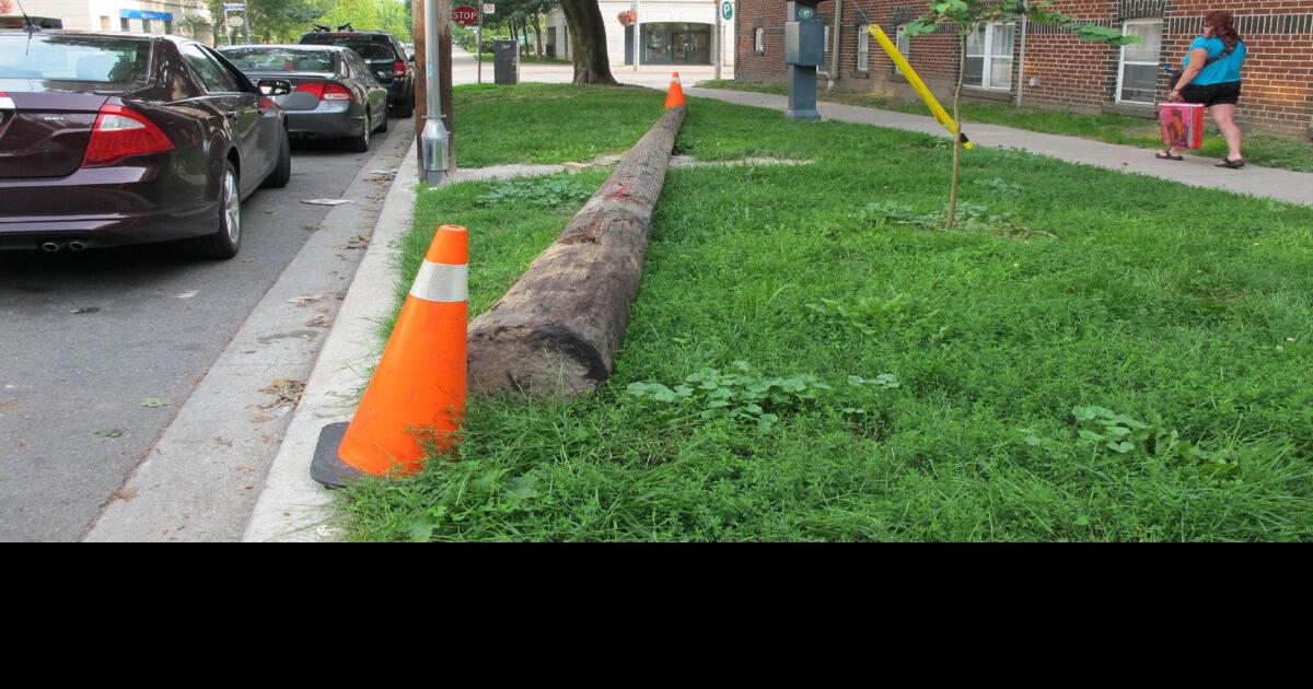 The Fixer: Utility pole lying on Toronto boulevard for more than a month