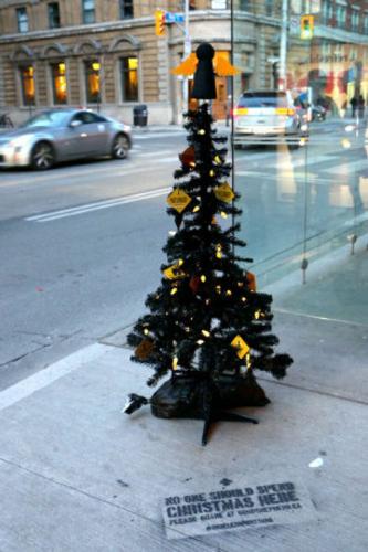 ‘Homeless’ trees disappear — after making a point about homeless people