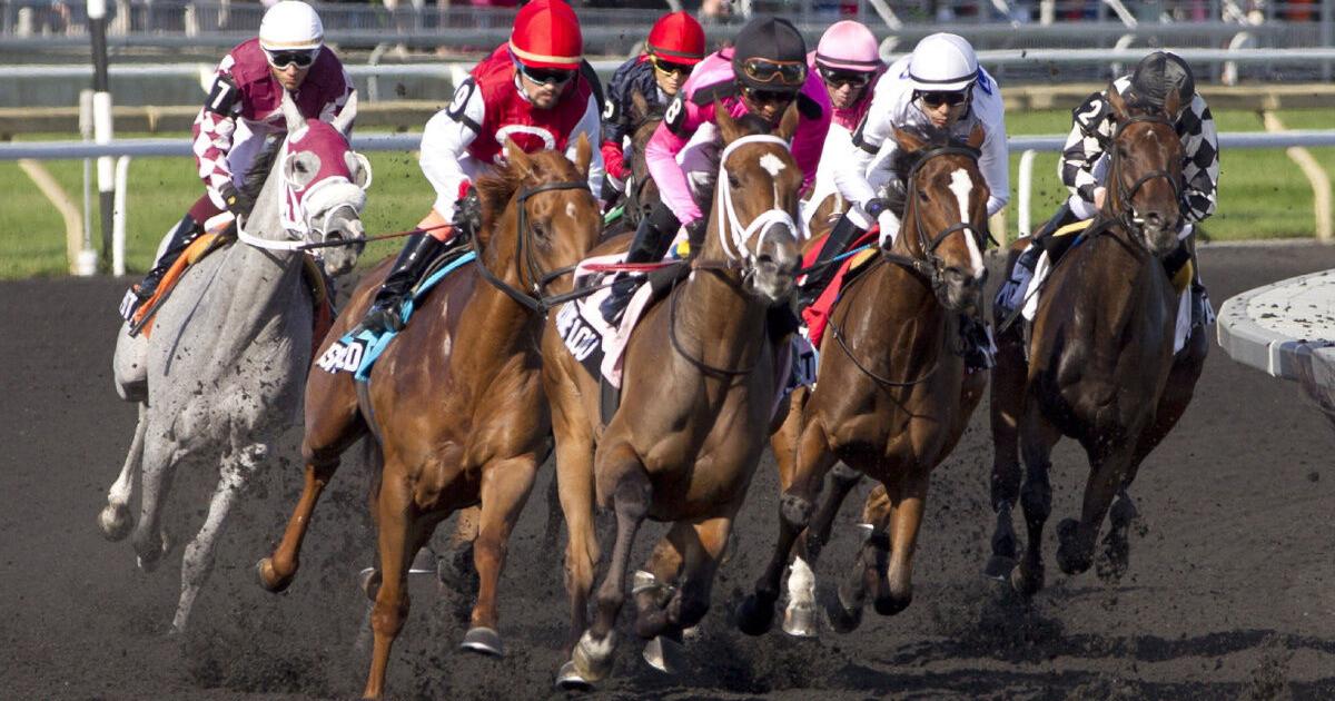 Next stop Queen’s Plate for Oaks winner Lexie Lou