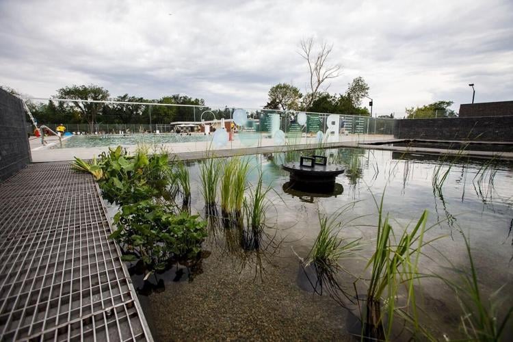 Canada’s first all-natural swimming pool makes waves in Edmonton