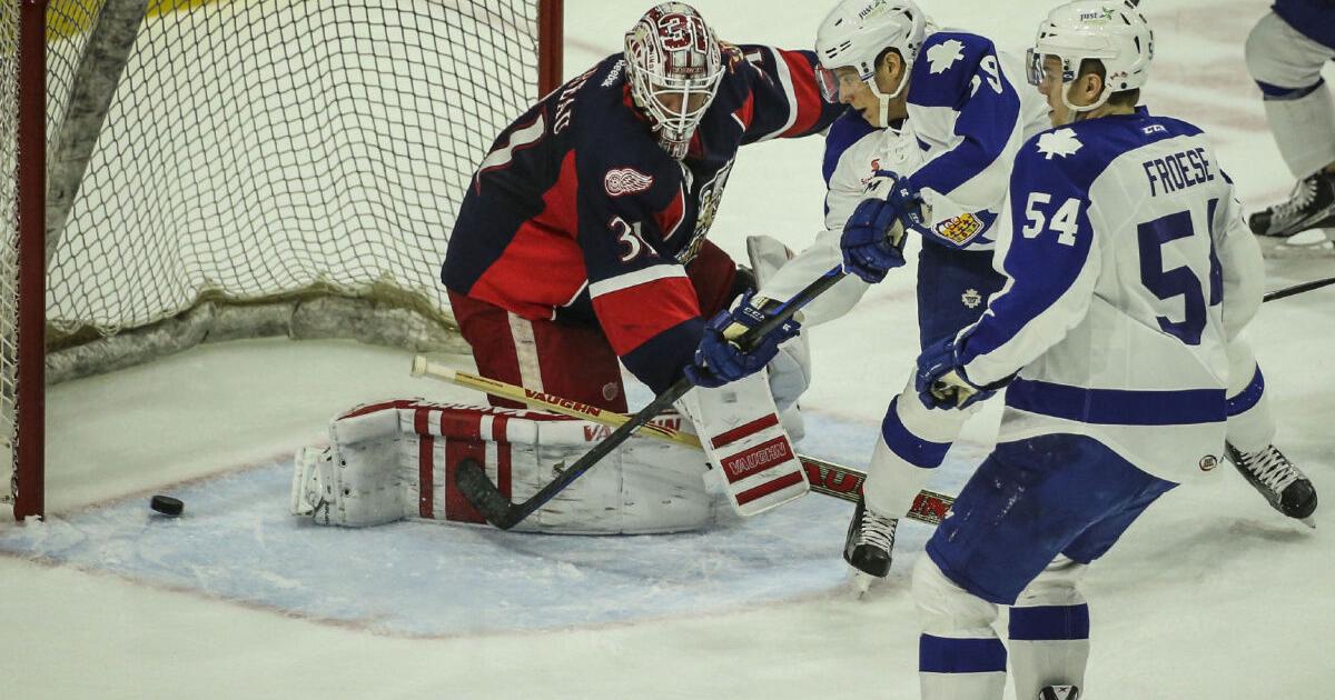 Matt Frattin finds his scoring touch again with Marlies