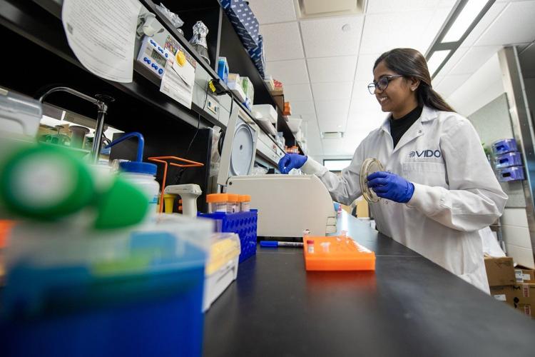 Canadian virus research hub in Saskatoon turns 50 amid concerns over U ...