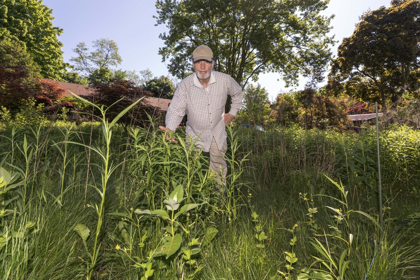 A fight against Mississauga’s lawn laws could mean much more
