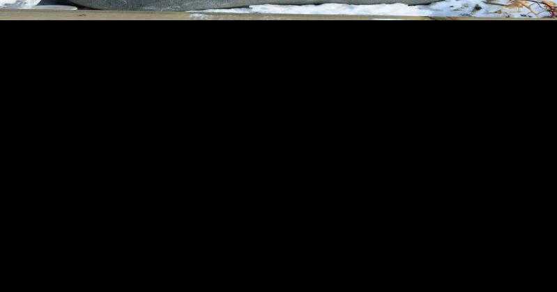 Port Lands memorial to slain woman has magnetic effect on passersby