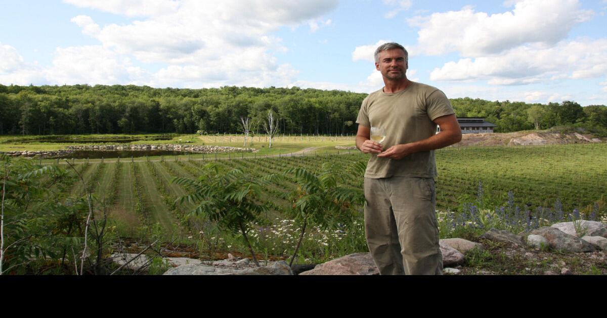 Model Sandor Johnson defying odds as Hastings County vintner