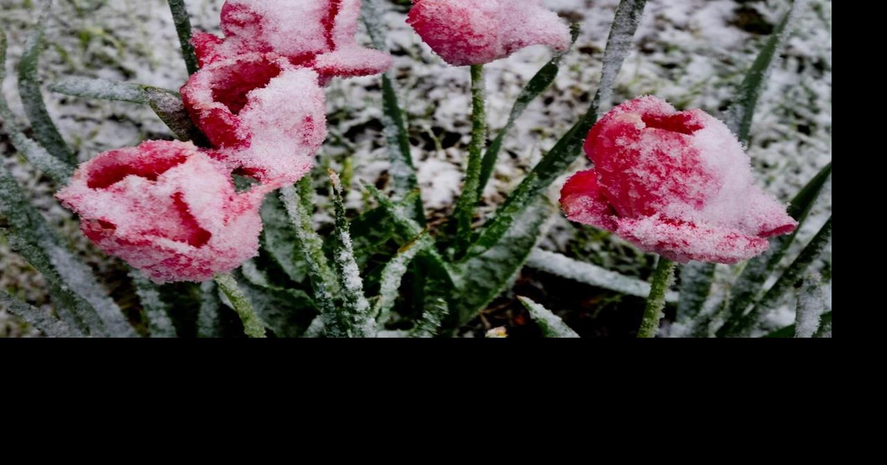 Parts of Germany see sprinkling of late-season snow