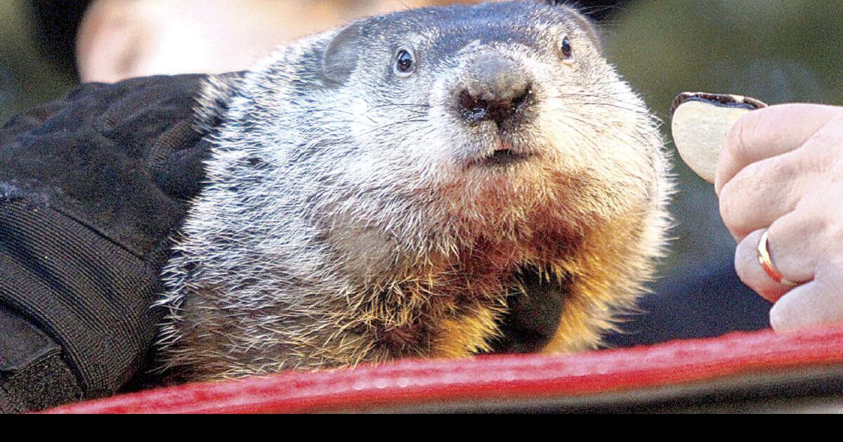 A Groundhog Day feel with favourite foods