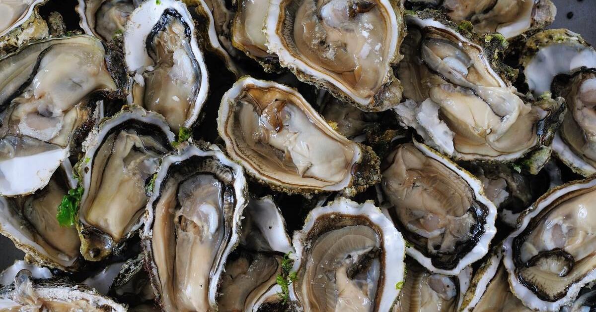 Suspected shellfish contamination makes 13 people sick in Edmonton