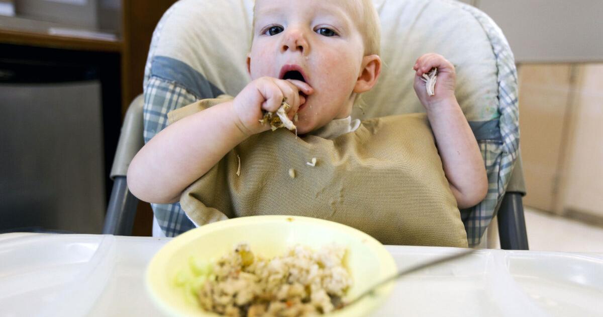 Hold the pablum: Give that baby some meat, new Canadian guidelines advise