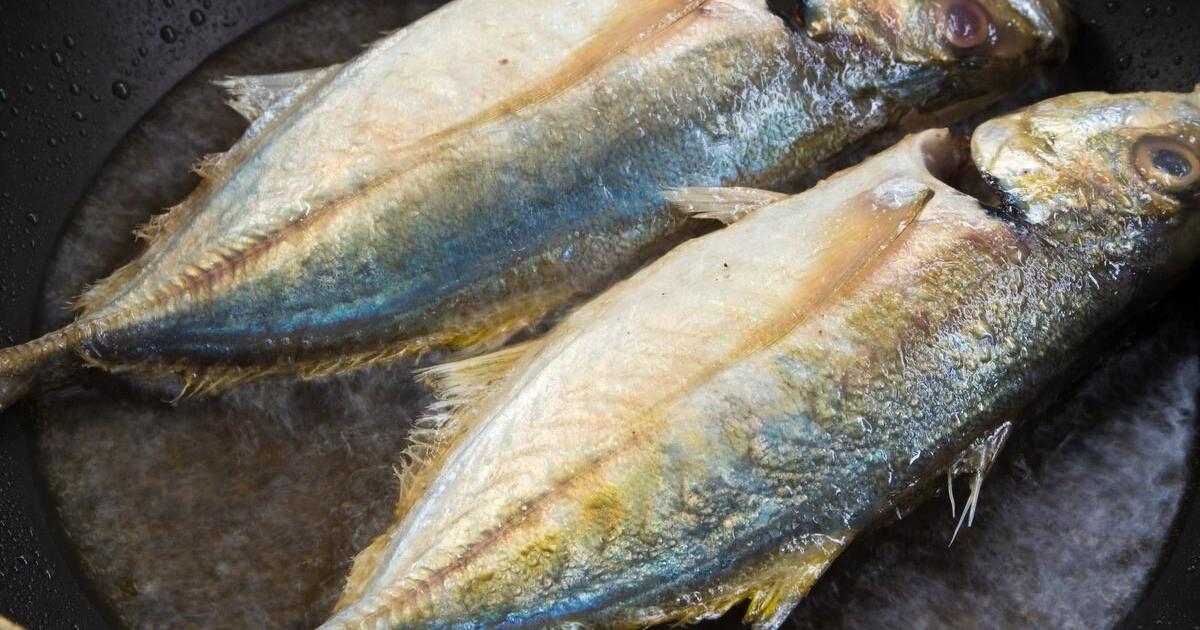 Toronto Star Short Story Contest Second Prize winner: ‘Fish and ...