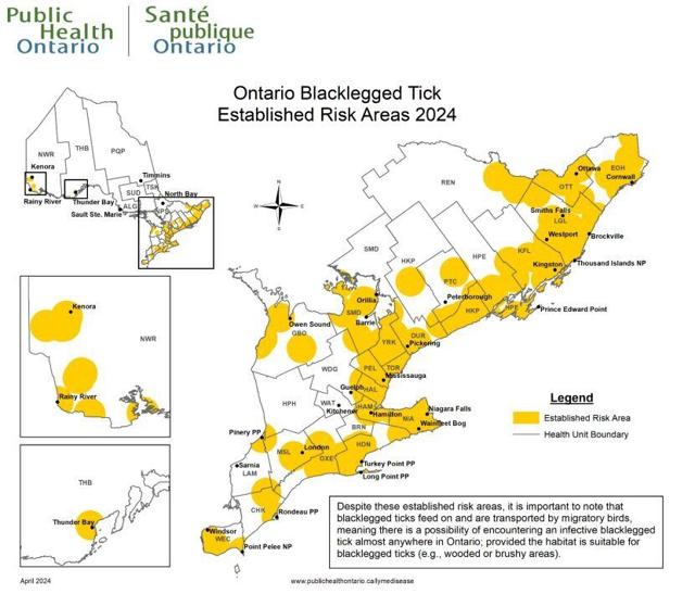 Thousands of Lyme disease-spreading ticks spotted in Ontario