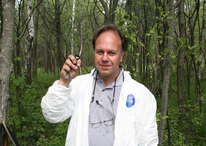 What zombie trees tell us about the world's worst nuclear disaster