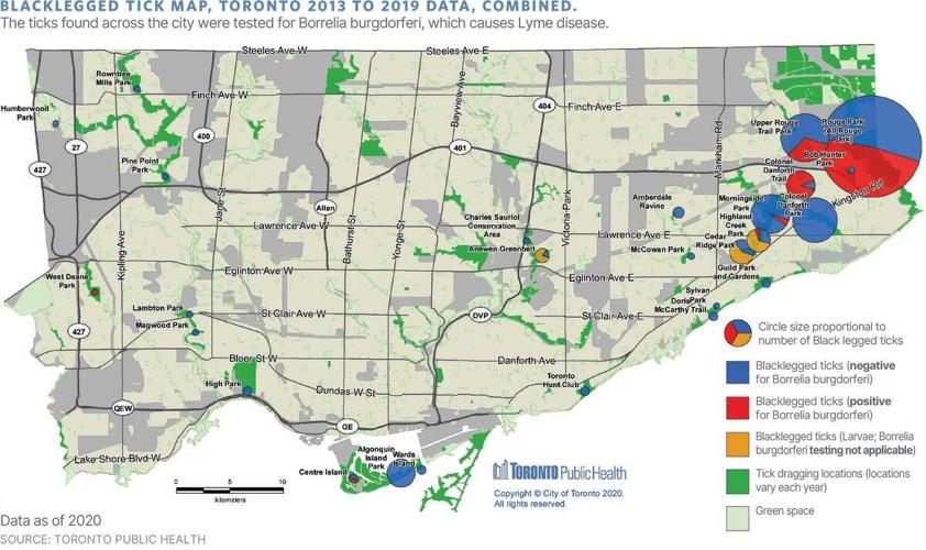 Ticks in Ontario: How to protect yourself and your pets