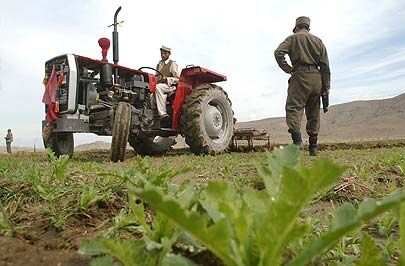 Turkey did it. Can Afghanistan?