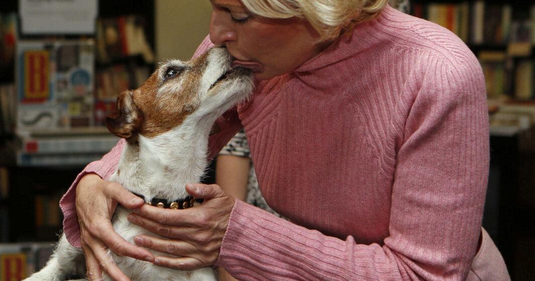 Heading off the day our furry best friends give us the flu