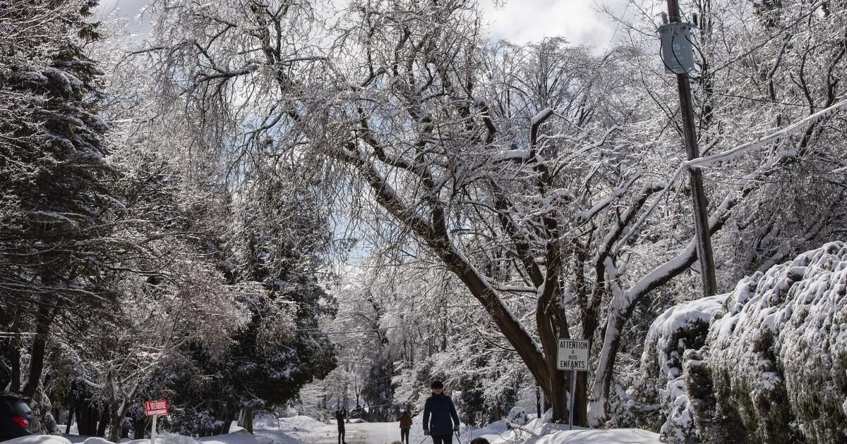 The Weather Network says average fall, cold winter expected for Canada