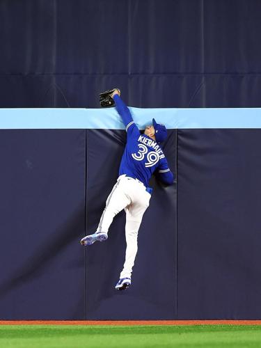 Meet Kevin Kiermaier, pride of the Blue Jays. No hard feelings